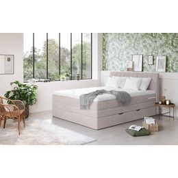 Boxspringbett COTTA "Shark inkl. Bettkasten und Topper", grau (mouse), B:186cm L:212cm, 100% POLYESTER (PES), Komplettbetten, erhältlich in den Breiten 140x200cm, 160x200cm und 180x200cm, Topseller