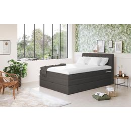 Boxspringbett COTTA "Shark inkl. Bettkasten und Topper", grau (dunkelgrau), B:146cm L:212cm, 100% POLYESTER (PES), Komplettbetten, erhältlich in den Breiten 140x200cm, 160x200cm und 180x200cm, Topseller