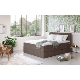 Boxspringbett COTTA "Shark inkl. Bettkasten und Topper", braun (espresso), B:186cm L:212cm, 100% POLYESTER (PES), Komplettbetten, erhältlich in den Breiten 140x200cm, 160x200cm und 180x200cm, Topseller