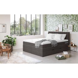 Boxspringbett COTTA "Shark inkl. Bettkasten und Topper", grau (charcoal), B:186cm L:212cm, 100% POLYESTER (PES), Komplettbetten, erhältlich in den Breiten 140x200cm, 160x200cm und 180x200cm, Topseller