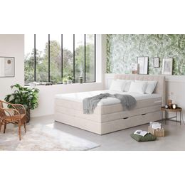 Boxspringbett COTTA "Shark inkl. Bettkasten und Topper", grau (elephant), B:186cm L:212cm, 100% POLYESTER (PES), Komplettbetten, erhältlich in den Breiten 140x200cm, 160x200cm und 180x200cm, Topseller