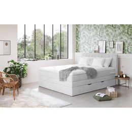 Boxspringbett COTTA "Shark inkl. Bettkasten und Topper", grau (argent), B:166cm L:212cm, 100% POLYESTER (PES), Komplettbetten, erhältlich in den Breiten 140x200cm, 160x200cm und 180x200cm, Topseller