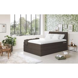 Boxspringbett COTTA "Shark inkl. Bettkasten und Topper", braun (espresso), B:146cm L:212cm, 100% POLYESTER (PES), Komplettbetten, erhältlich in den Breiten 140x200cm, 160x200cm und 180x200cm, Topseller