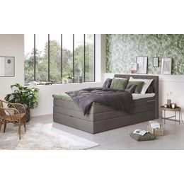 Boxspringbett COTTA "Shark inkl. Bettkasten und Topper", braun (mud), B:146cm L:212cm, 100% POLYESTER (PES), Komplettbetten, erhältlich in den Breiten 140x200cm, 160x200cm und 180x200cm, Topseller