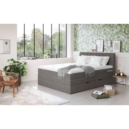 Boxspringbett COTTA "Shark inkl. Bettkasten und Topper", grau (dunkelgrau), B:186cm L:212cm, 100% POLYESTER (PES), Komplettbetten, erhältlich in den Breiten 140x200cm, 160x200cm und 180x200cm, Topseller