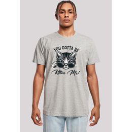 T-Shirt F4NT4STIC "Kätzchen You Gotta Be Kitten Me", Herren, Gr. 5XL, grau (erdgrau), Obermaterial: 100% Baumwolle, regular fit, Rundhals, ohne Bündchen, Shirts, Premium Qualität