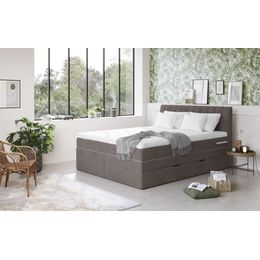 Boxspringbett COTTA "Shark inkl. Bettkasten und Topper", braun (mud), B:166cm L:212cm, 100% POLYESTER (PES), Komplettbetten, erhältlich in den Breiten 140x200cm, 160x200cm und 180x200cm, Topseller