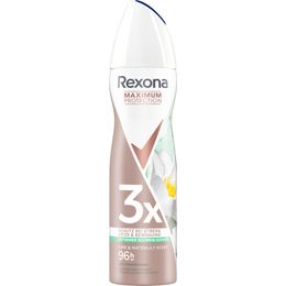 Rexona Antitranspirant Deospray Maximum Protection Lime & Waterlily Scent