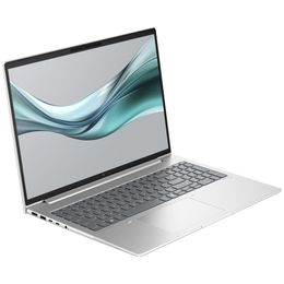 HP EliteBook 665 G11 16" Ryzen 5 2.9 GHz - SSD 1 TB - 32GB QWERTY - Englisch