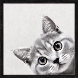 Pro Art Gerahmtes Bild FUNNY CAT II