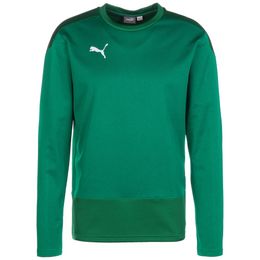 Puma Athletic Sweatshirt 'TeamGOAL 23' male Green size XL
