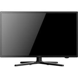 Reflexion LEDW190 4in1 LED-TV 19 Zoll - Fernseher