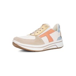 Ara Sneaker in Cream | Gr.: 37,5