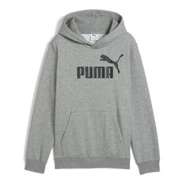 Puma Hoodie "ESS No.1 Logo Hoodie FL B" in Grau | Gr.: 152