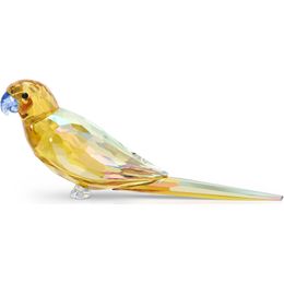 Dekofigur Swarovski "Kristallfigur Vogel Jungle Beats Gelbbauchsittich Lechee", bunt (gelb, blau, kristallweiß, schwarz), Dekofiguren, B/H/T: 8,7cm x 3,7cm x 2,2cm, Swarovski Kristall, Swarovski Kristall, B:8,7cm H:3,7cm T:2,2cm