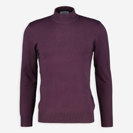 Violetter Pullover mit Stehkragen