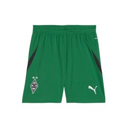 Puma Workout Pants 'Borussia Mönchengladbach' boy Green size 116