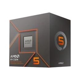AMD Ryzen 5 8500G, Prozessor Boxed-Version