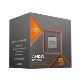AMD Ryzen 5 8600G, Prozessor Boxed-Version