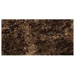 Fliese Ragno Incanto emperador 75x150 cm gl&auml;nzend R8XR