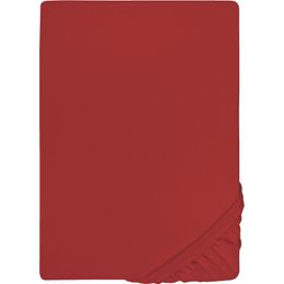 Spannbettlaken Biberna "Thea", rot, 1 Stk., Jersey-Elasthan, 140-160x200-220 25, Jersey-Elasthan, Obermaterial: 97% Baumwolle, 3% Elasthan, Bettlaken, aus Baumwolle, für Matratzen bis 25 cm Höhe, Bettlaken, Spannbetttuch