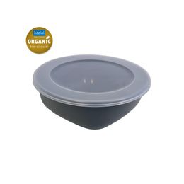 Koziol CONNECT BOX 1,3 - Box mit transparentem Deckel 1,3l in nature ash grey | Gr.: onesize