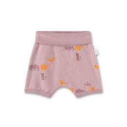 Sanetta Sweatshorts in Rot | Gr.: 74