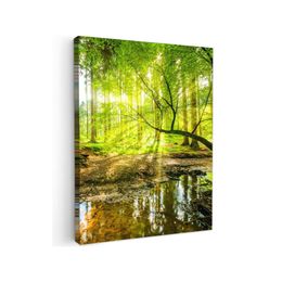 MuchoWow Leinwand bilder Waldlicht | Gr.: 20 x 30 cm