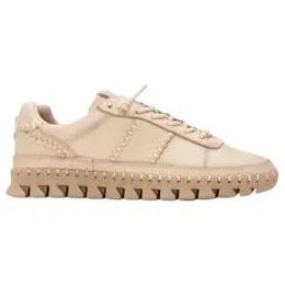 Carmela f&uuml;r Damen. 16252803-BEIGE Leder Turnschuhe 162528 beige (41), Wohnung, Schn&uuml;rsenkel, L&auml;ssig