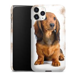 DeinDesign iPhone 11 Pro Max Handy Premium Case Smartphone Handyh&uuml;lle Schutzh&uuml;lle gl&auml;nzend Dog Dachshund Pet Premium Case