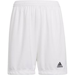 adidas Performance Workout Pants 'Entrada 22' boy White size 116