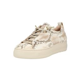 Paul Green Sneaker in Beige | Gr.: 37