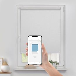 LICHTBLICK ORIGINAL Rollo »Klemmfix, ohne Bohren« verdunkelnd Blendschutz Sichtschutz Verdunkelung mit Bohren/ohne Bohren freihängend Steuerbar...