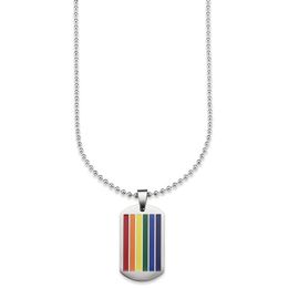 Bruno Banani Kette mit Anhänger »Schmuck Geschenk Halskette Regenbogen Dog Tag Kugelkette« mit Epoxidharz edelstahlfarben Maskuline Halskette mit...