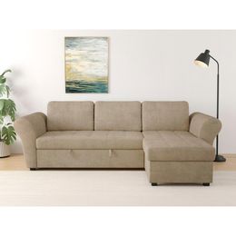TRENDS BY HG Ecksofa »Lasse L-Form, B: 259 cm« mit Bettfunktion & Bettkasten D516 Enjoy new 36 antelop
