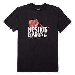 DC Shoes T-Shirt »Fanatic« schwarz M M Material: Baumwoll-Jersey-Stoff [200 g/m2]