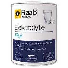 Raab Vitalfood Elektrolyte Pur 170 G