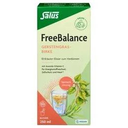 Salus Freebalance Gerstengras-Birke Elixier Bio 250 ML