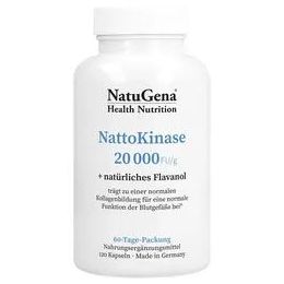Nattokinase 20.000 + Vitamin C Vegan 120 ST