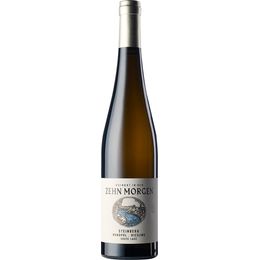 Weingut In den Zehn Morgen Steinberg.Monopol Riesling 2021 Trocken - Nahe &ndash; Wei&szlig;wein Qualit&auml;tswein