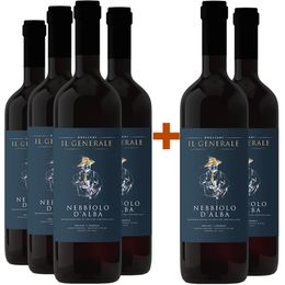 Dogliani il Generale 4+2 Paket d'Alba Nebbiolo 2023 Trocken - Piemont &ndash; Probierpaket DOC