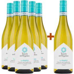 Tenuta dell'Ugolino 5+1 Paket Le Piaole Verdicchio dei Castelli di Jesi Classico Bianco 2024 Trocken - Marken &ndash; Probierpaket DOC