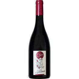 Ch&acirc;teau Pi&eacute;gu&euml; "La P'tite vigneronne" Rouge Val de Loire Cuv&eacute;e 2022 Trocken - &ndash; Rotwein IGP