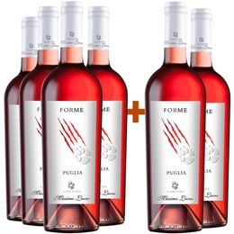 Cantine Massimo Leone 4+2 Paket Forme Rosato Puglia Nero di Troia 2024 Trocken - Apulien &ndash; Probierpaket IGP