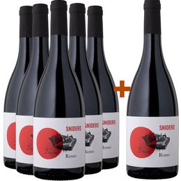 Snidero Vini 5+1 Paket Rosso Due Vigne Selezione BIO 2021 Trocken - Friaul &ndash; Probierpaket IGP