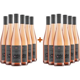 Weingut Lamm-Jung KG 6+6 Paket Rosé Spätburgunder 2023 - Rheingau – Probierpaket Qualitätswein