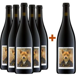 Weingut Seckinger 5+1 Paket - Nero Rosso Cuv&eacute;e 2023 Trocken Pfalz &ndash; Probierpaket Pf&auml;lzer Landwein