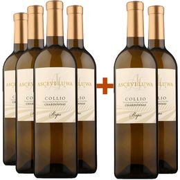 Ascevi Luwa 4+2 Paket Rupis Collio Goriziano Chardonnay 2023 Trocken - Friaul &ndash; Probierpaket DOC