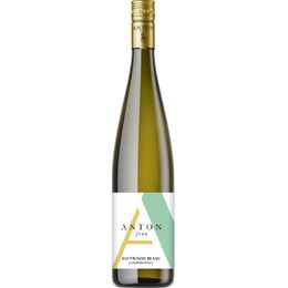 Weingut Anton ALKOHOLFREI Sauvignon Blanc 2024 - Pfalz – Sonstiges Entalkoholisierter Wein