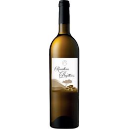 Ch&acirc;teau Aiguilloux Cuv&eacute;e Rousillous Macabeo 2024 - Occitanie, sud de france Languedoc &ndash; Wei&szlig;wein Vin France